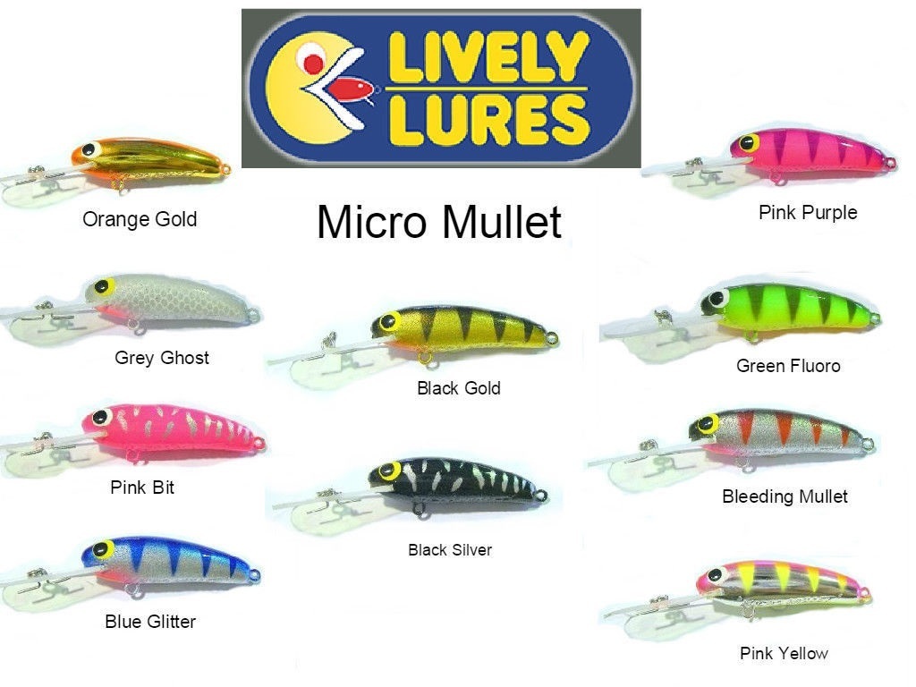 Lively Lures Micro Mullet 40mm Hard Body Fishing Lure Diving Lure to 2m ...